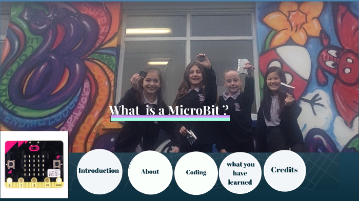 Microbit presentation. by Laila Evans on Prezi