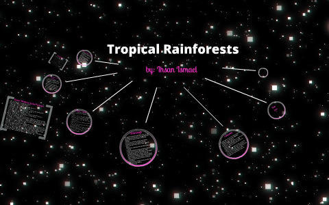 Science Projet- Tropical Rainforest Biome by ihsan ismael on Prezi