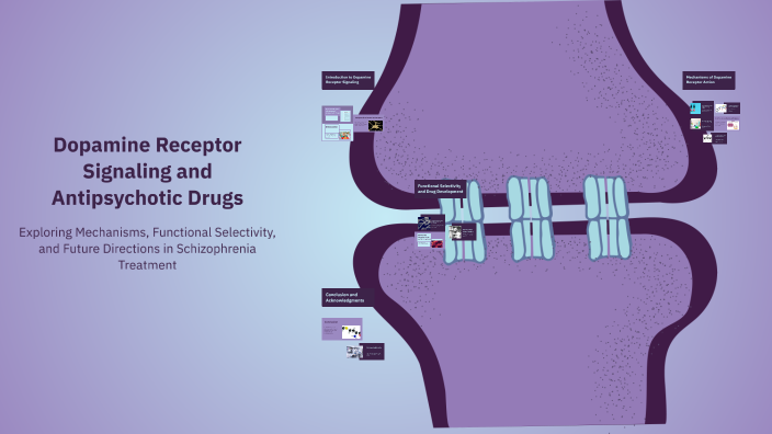 Dopamine Receptor Signaling and Antipsychotic Drugs by Elvira De ...