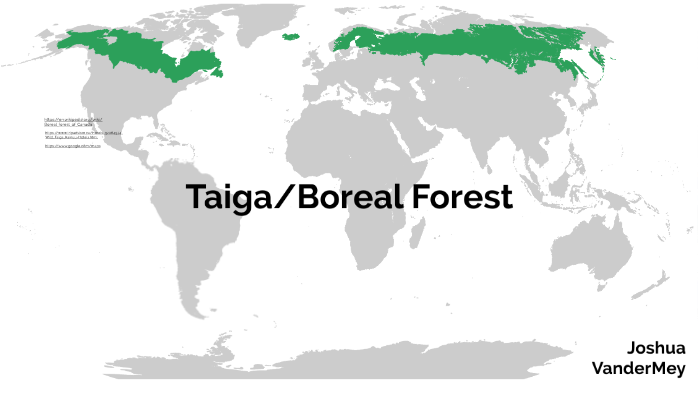 Canadian taiga by joshua VanderMey on Prezi