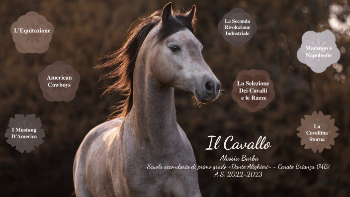 Tesina-Il Cavallo by ALESSIA BARBA on Prezi