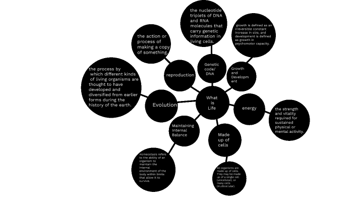 What is LIfe Concept Map by sargent matt on Prezi
