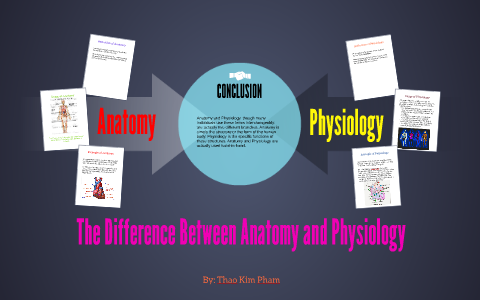 The Difference Between Anatomy and Physiology by Thao Pham on Prezi