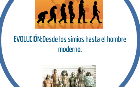 EVOLUCIÓN:Desde los simios hasta el hombre moderno. by on Prezi