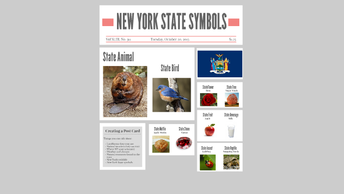 NEW YORK STATE SYMBOLS by Julia Hope