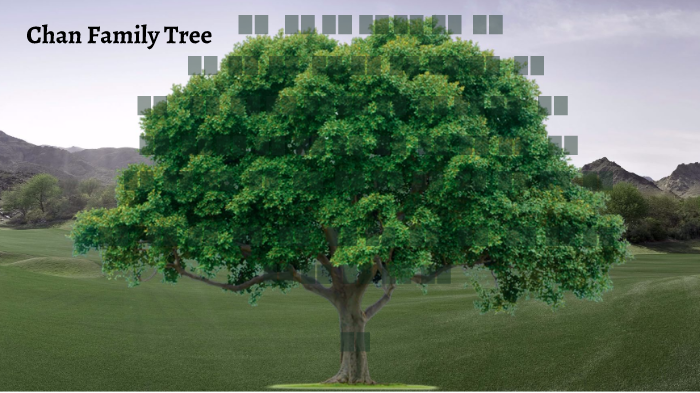Chan Family Tree by Zeke Chan on Prezi