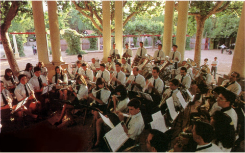 Los Conjuntos musicales. by on Prezi