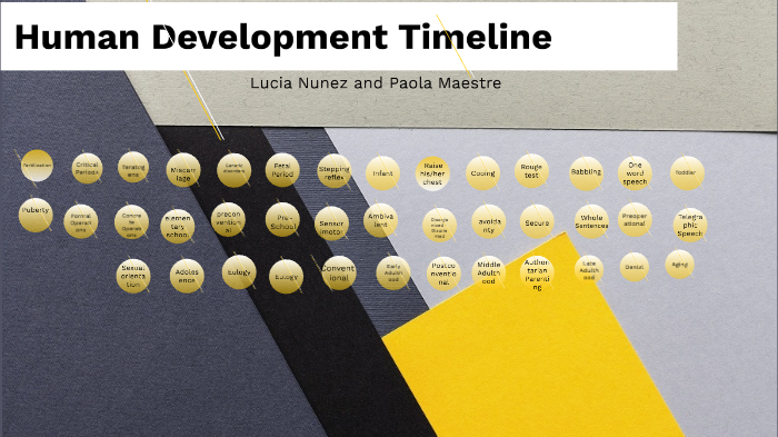 Human Development Timeline by Lucia Nunez on Prezi