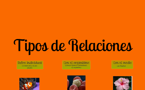 Ejemplos: "Tipos de Relaciones" by guillermo nalo on Prezi