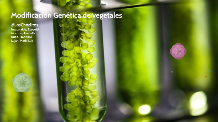 Modificación genética de vegetales by ezequiel insaurralde on Prezi