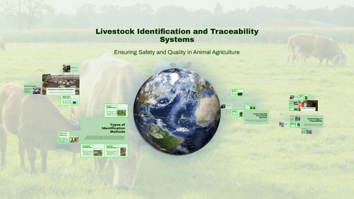 Livestock Identification and Traceability Systems by Peace on Prezi