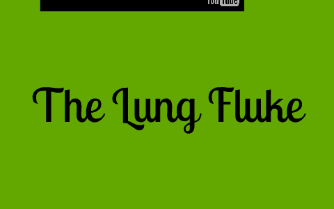 Lung Fluke && the Eyeworm by Jessica Tolson on Prezi