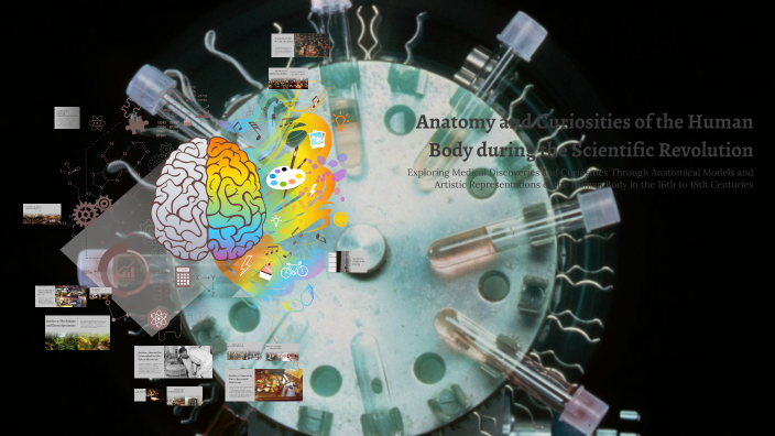 Anatomy and Curiosities of the Human Body during the Scientific ...