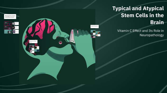 Typical and Atypical Stem Cells in the Brain by Anas Abdullah on Prezi