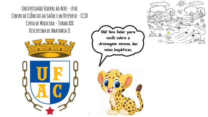 Formação da Veia Porta Hepática by Edjan da Silva Santos Santos on Prezi