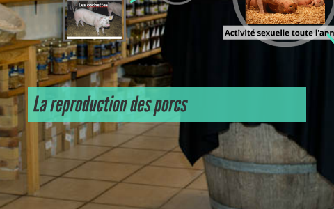 La reproduction des porcs by bruno FERRAND on Prezi