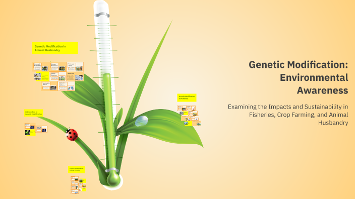 Genetic Modification: Environmental Awareness by Stephen Hickmore on Prezi