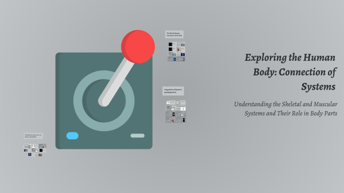 Exploring the Human Body: Connection of Systems by Samuel Hernandez ...