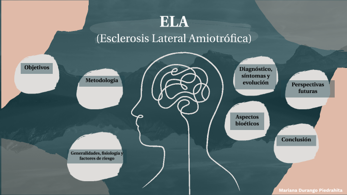 TFG by mariana durango on Prezi