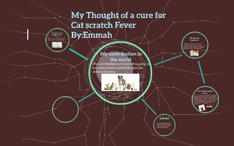 Cats scratch fever by em xi on Prezi