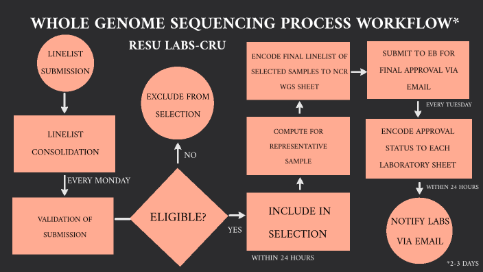 WGS Process Workflow by Ysa Dela Cruz on Prezi