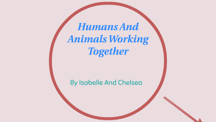 Humans And Animals Working Together by Patricia Kalligas on Prezi
