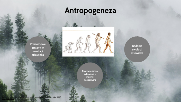 Antropogeneza by Amelia Szpejenkowska on Prezi