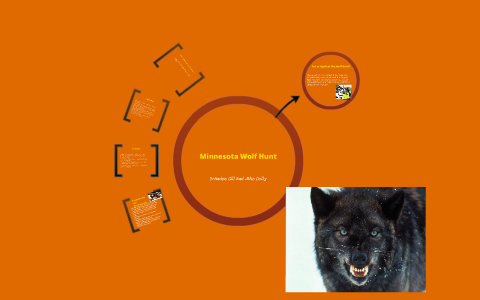 Minnesota Wolf Hunt by Brandon Gill
