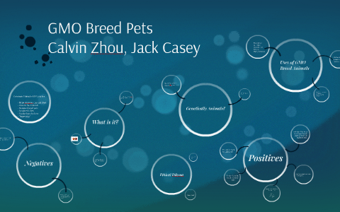 Gmo breed Pets by Calvin Zhou on Prezi