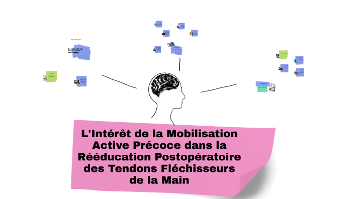 L'intérêt de la mobilisation active précoce dans la rééducation ...