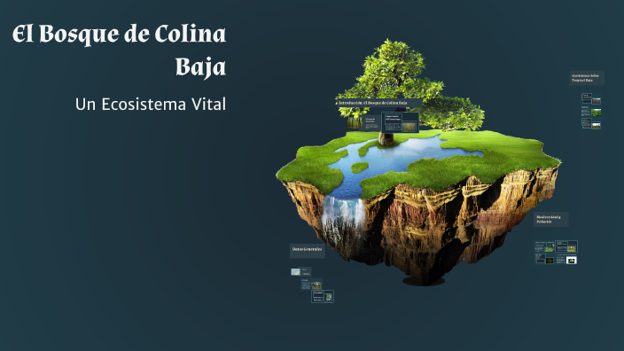 El Bosque de Colina Baja by Dayana Jackeline Terrones Rojas on Prezi