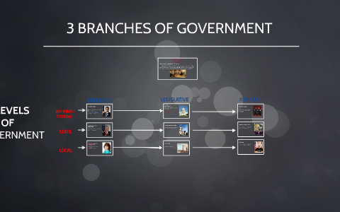 3 BRANCHES OF GOVERNMENT by Paulo Vivanco