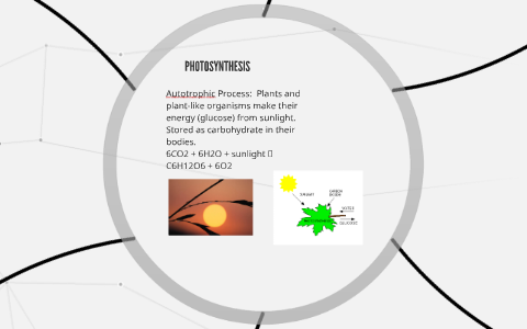 Photosynthesis-starts to ecological food webs! by Louie Agbay on Prezi