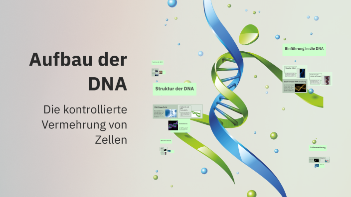 Aufbau der DNA by Maximilian Plante on Prezi