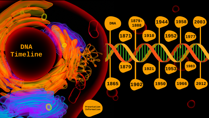 DNA timeline by Haider and Julia by Haider Al-meshleb on Prezi