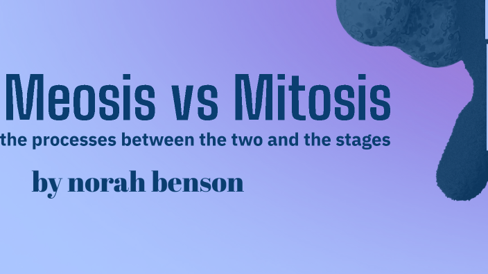 The Stages of Meiosis and Mitosis by NORAH BENSON on Prezi