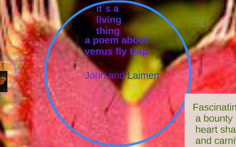 a poem about venus fly trap by john bird bear on Prezi