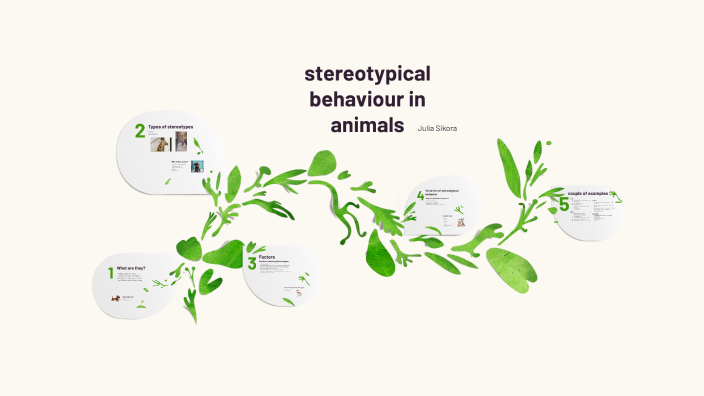 stereotypical behavior in animals by Julia Sikora on Prezi