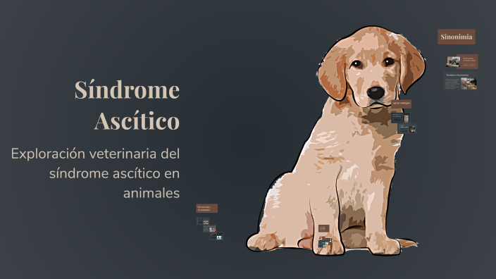 Síndrome Ascítico by kendy condori on Prezi