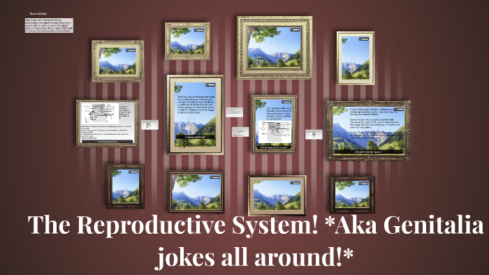 The Reproductive System! *Aka Genitalia jokes all around!* by Ralpheal ...