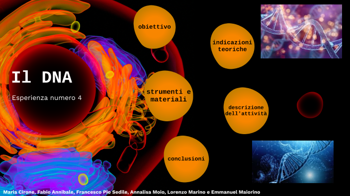Il DNA by Maria Cirone on Prezi
