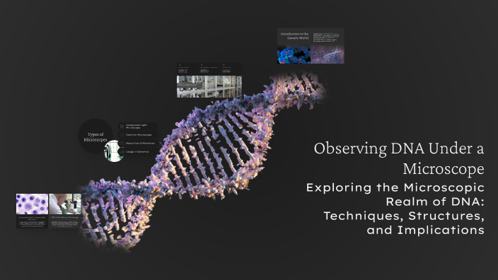 Observing DNA Under a Microscope by Mathéo IACONO on Prezi