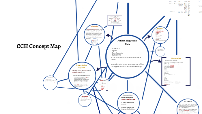 CCH Concept Map by Meagan Durr