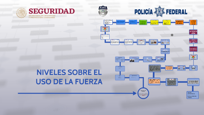 NIVELES SOBRE EL USO DE LA FUERZA by CECIL RAMIREZ on Prezi