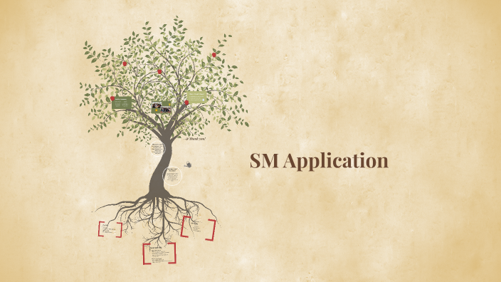 SM Application by Nadine Ashour on Prezi