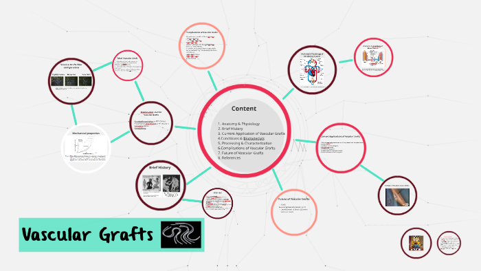 Vascular Grafts by Merna Haddad on Prezi