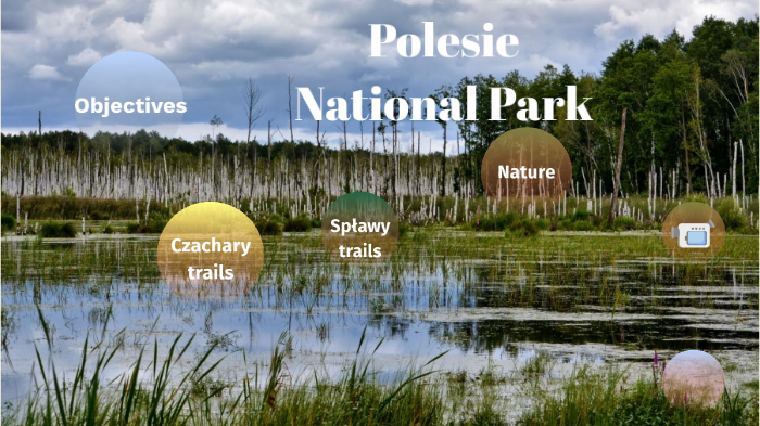Polesie National Park by Klaudia Łubkowska on Prezi