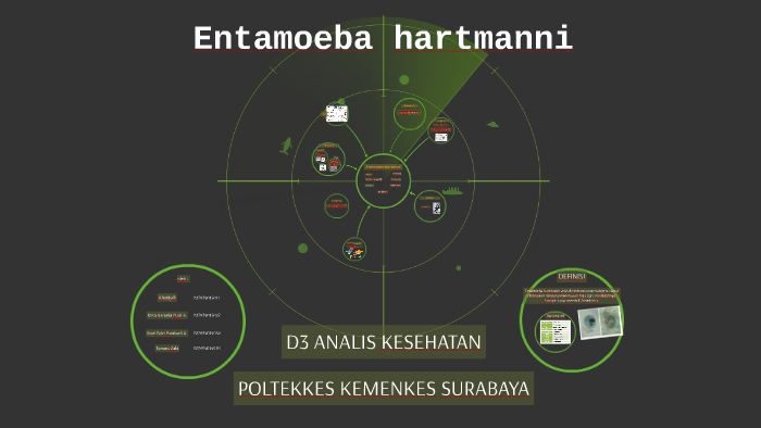 ENTAMOEBA HARTMANNI by rosa asmarani