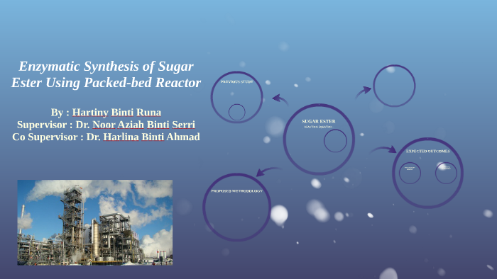 Enzymatic Synthesis of Sugar Ester Using Packed-bed Reactor by hartiny ...