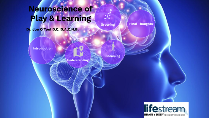 Neuroscience of Play and Learning by lifestream clinic on Prezi